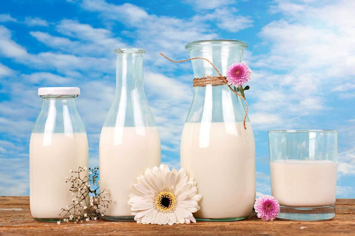 24 de tipuri de lapte si valorile lor nutritionale - PinkGirl